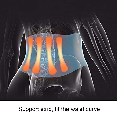 TANGIST Lower Back Back Support Lumbar Brace Self-heating Magnetic Therapy Injuries Sciatica Coccyx Scoliosis Herniated Disc Pain Relief (Size : L)