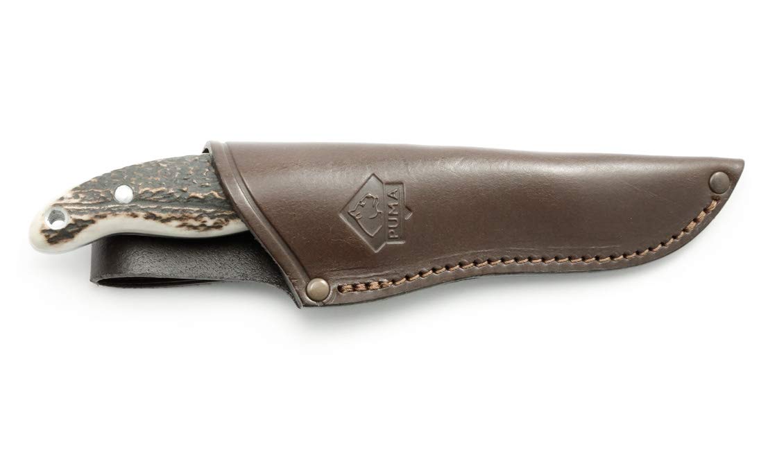 PUMA Knives Hunter's Companion Staghorn German Made Hunting Knife with Leather Sheath