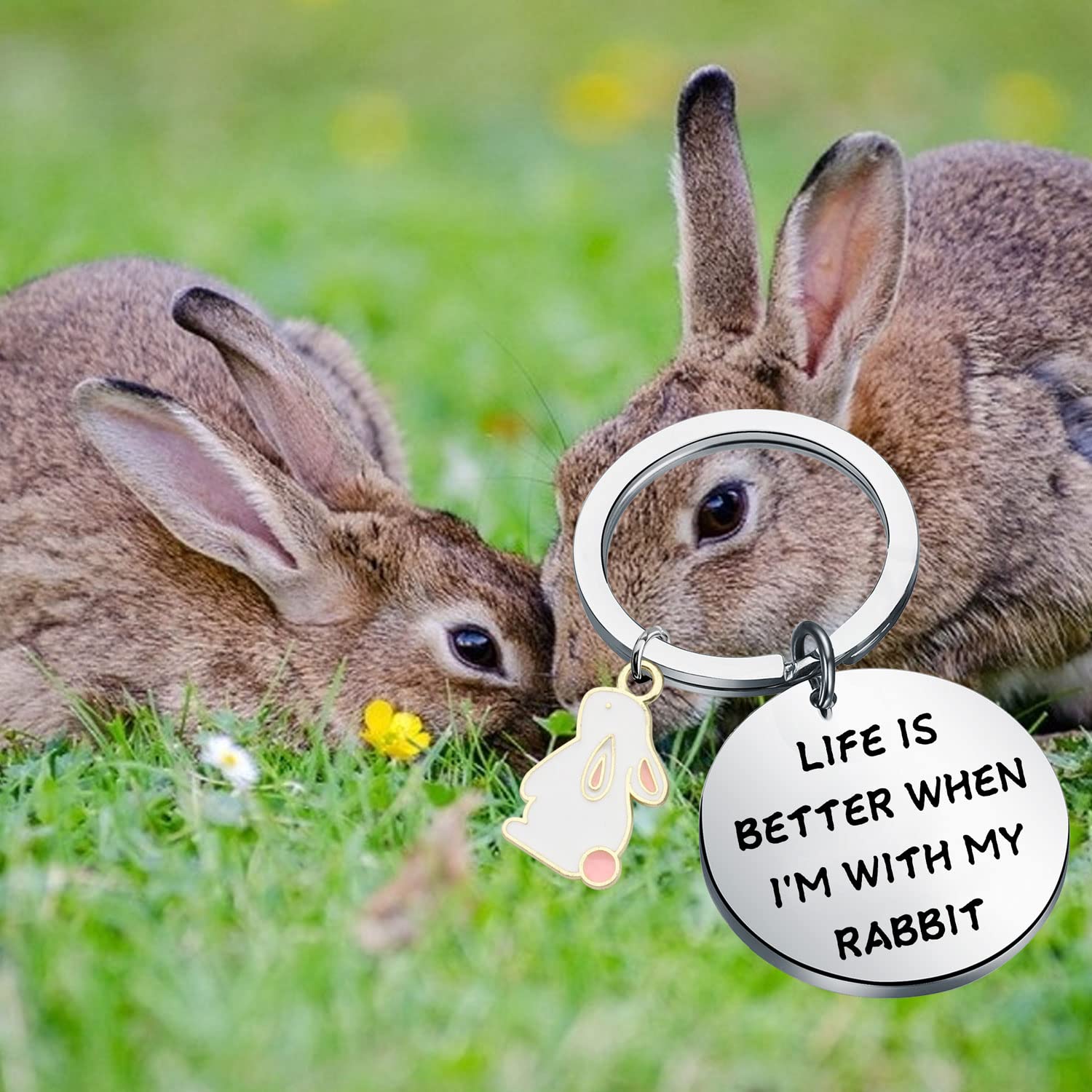 WSNANG Rabbit Keychain Life Is Better When I'm With My Rabbit Jewelry Pet Gift Easter Gift for Bunny Lover Gift (With My Rabbit KY)