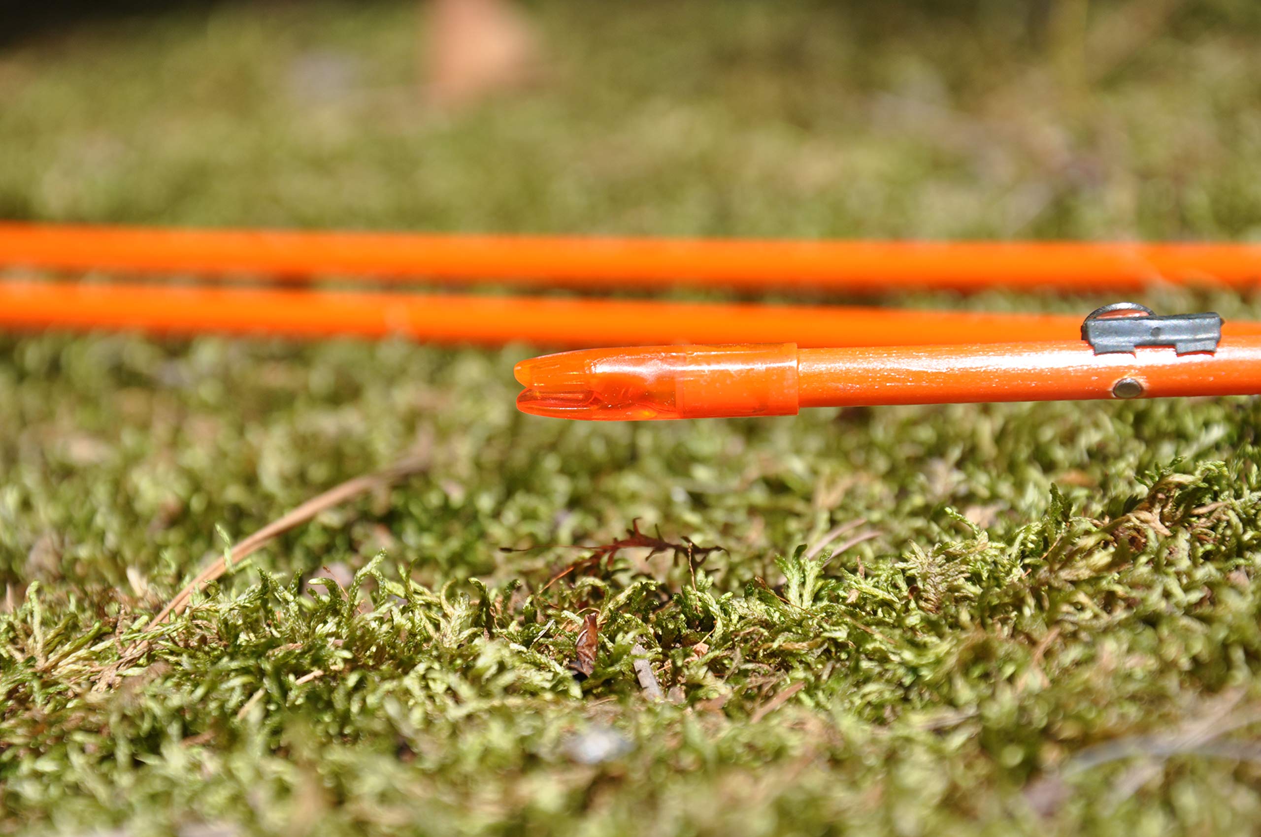 Pocket Shot Bow Fishing Arrows (3 Pack) with Slide, 2 Barb.