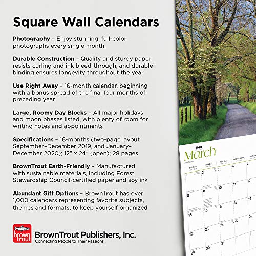 Parrots 2020 12 x 12 Inch Monthly Square Wall Calendar, Domestic Wildlife Animals Birds