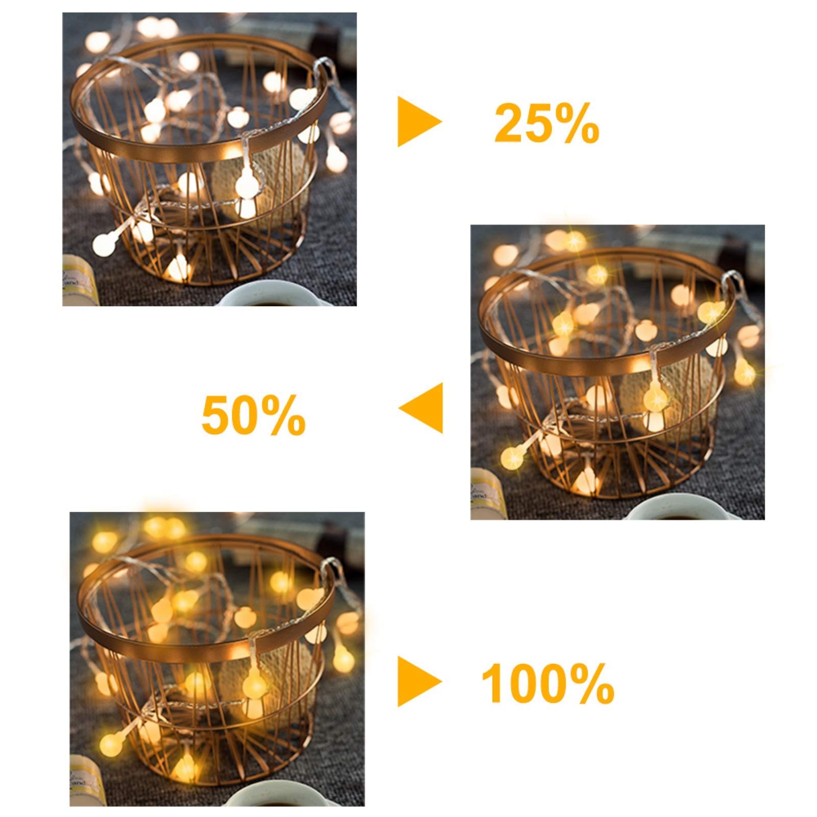 Shulemin Outdoor Globe Lights, Battery Operated Indoor Warm White Light, 40 LED Globe Bulb Fairy Light Remote Control Hanging Lamp for Home Yard Garden Decoration