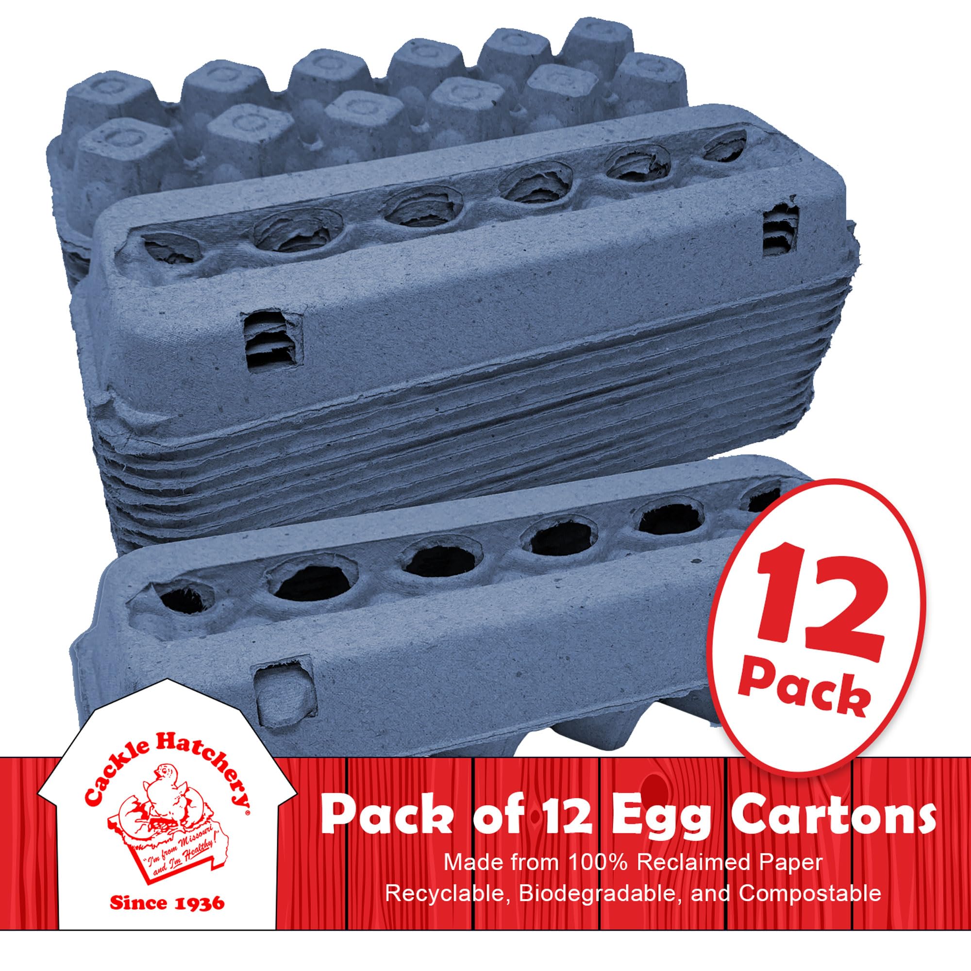 Vented Paper Pulp Egg Cartons - Blue (12)