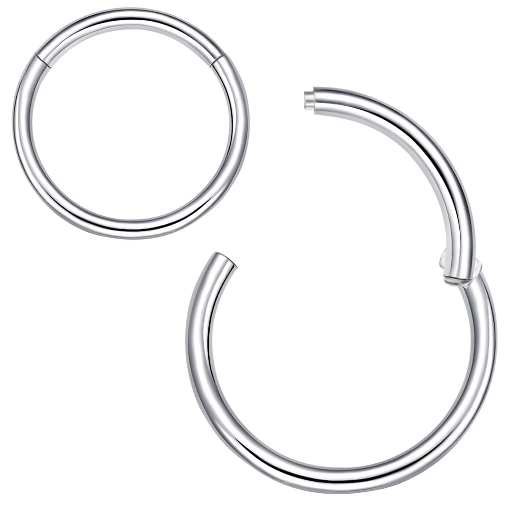 VOJO 2PCS Septum Hoop Daith Piercing Jewelry G23 Titanium for Nose Helix Conch Tragus Sensitive Ears 16/18G Rook Lip Hoop Ring (CZ+ Segment Ring,16G 6mm+8mm)