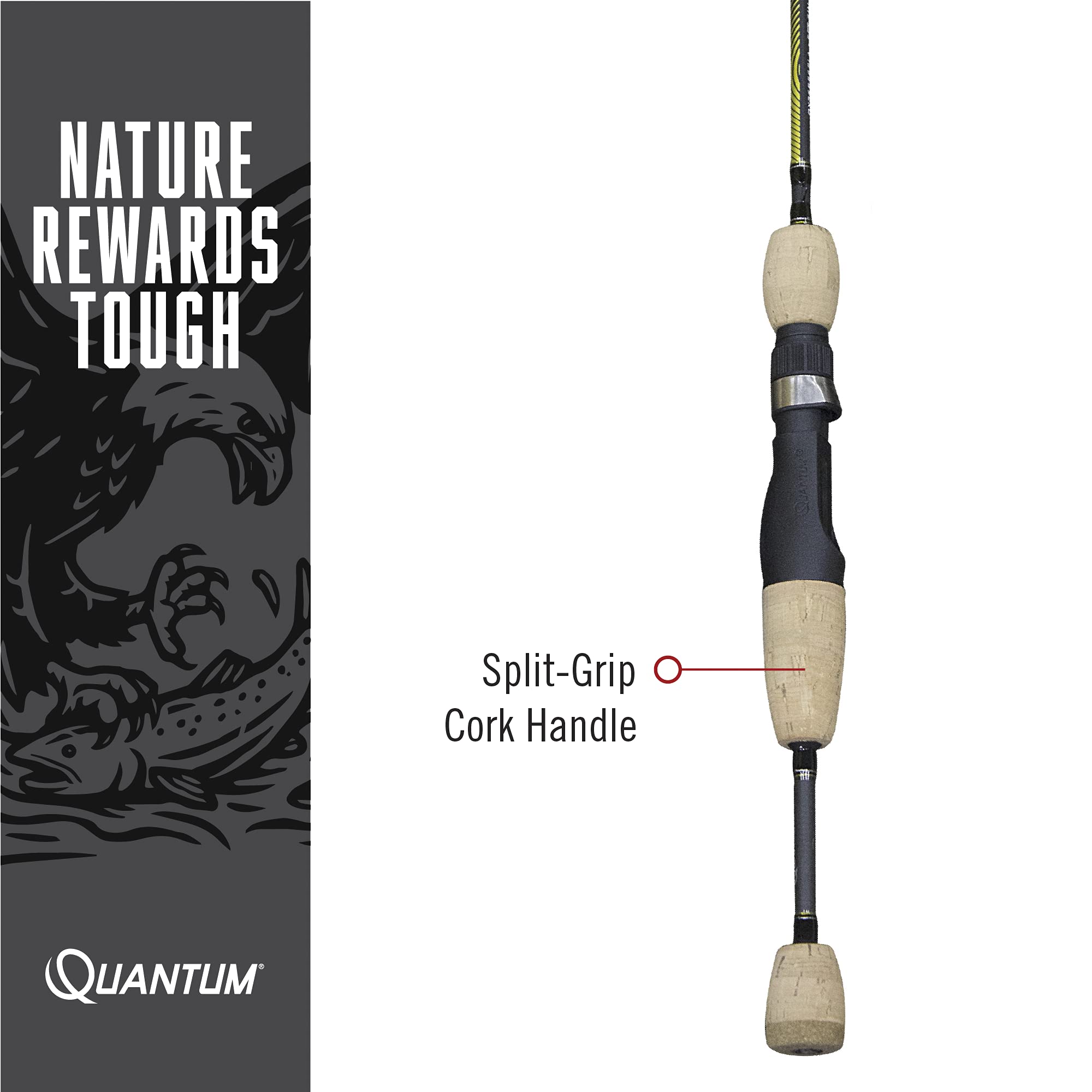 Quantum QX36 Spinning Fishing Rod, 6-Foot 2-Piece IM7 Graphite Fishing Pole, Split-Grip Cork Handle, DynaFlow Aluminum-Oxide Guides, Fast Action, Medium-Light Power, Silver