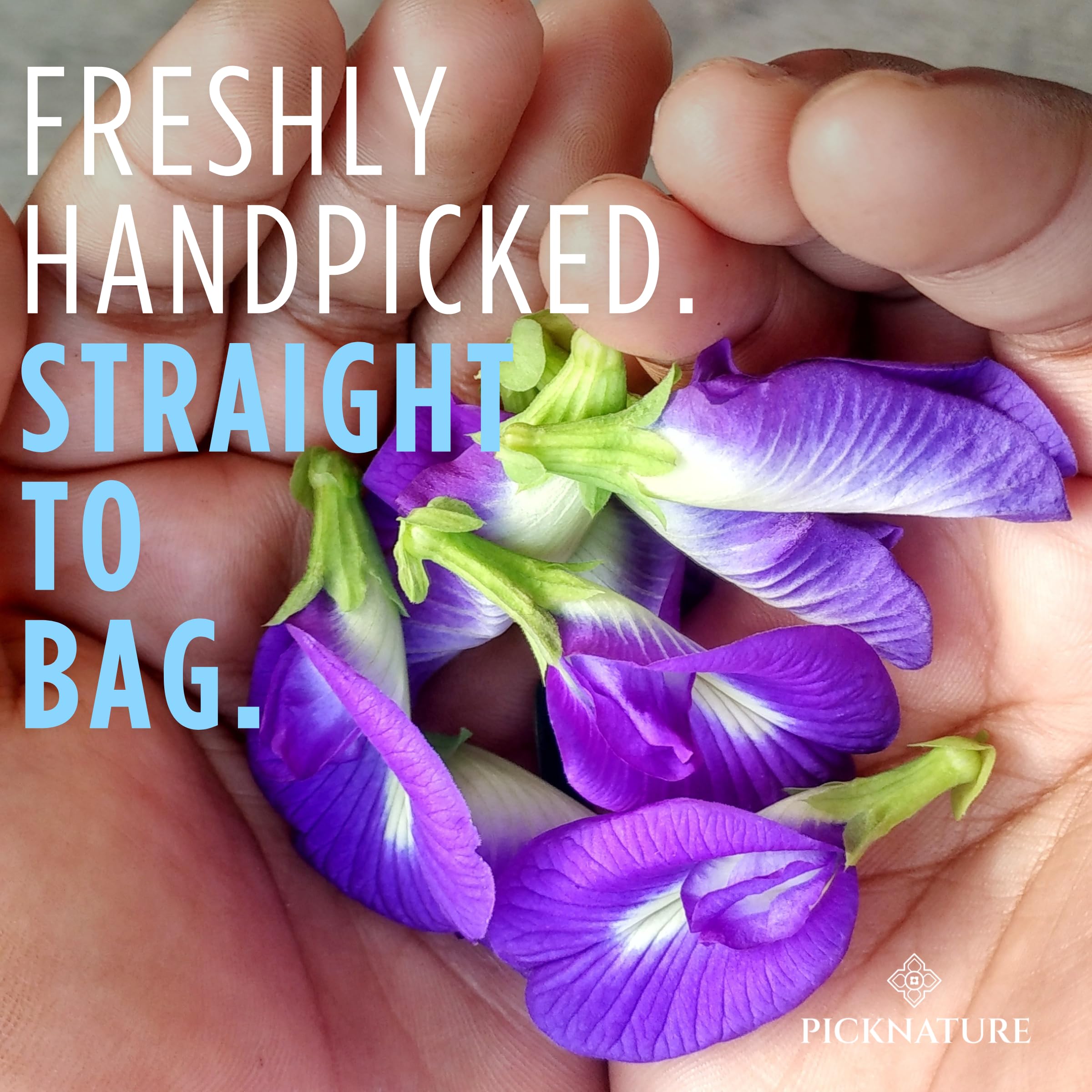 PICKNATURE Butterfly Pea Flower Tea Loose Leaf Freshly Picked from Thailand | Mini Pack (100+ Cups) | Herbal Blue Tea Gifts |USDA Organic