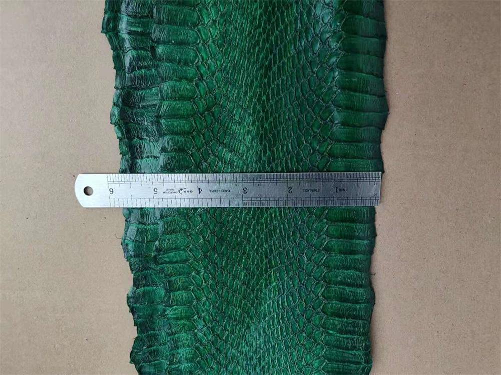 Snake Skin Snakeskin Pieces Assorted Colors Hide Leather Natural 47in (Green)