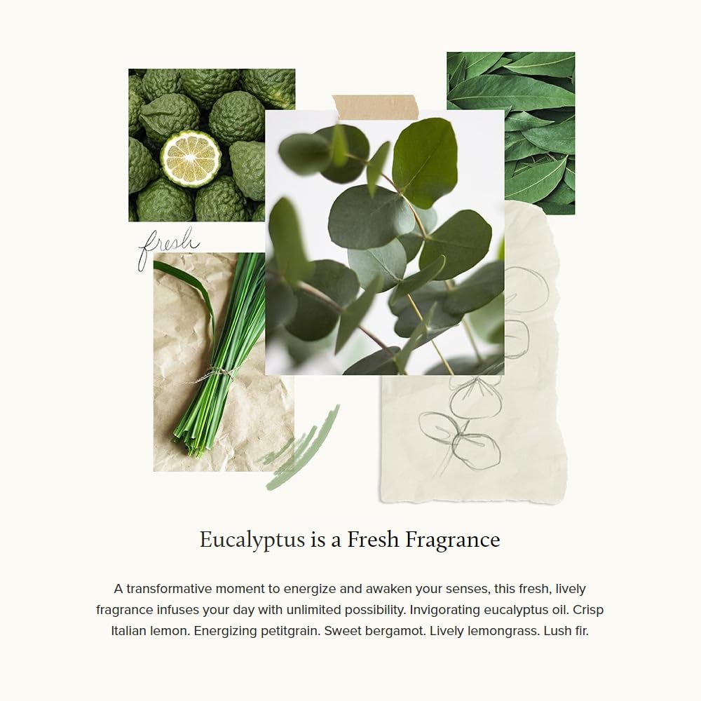 Thymes Countertop Spray - 16 Fl Oz - Lemon Leaf
