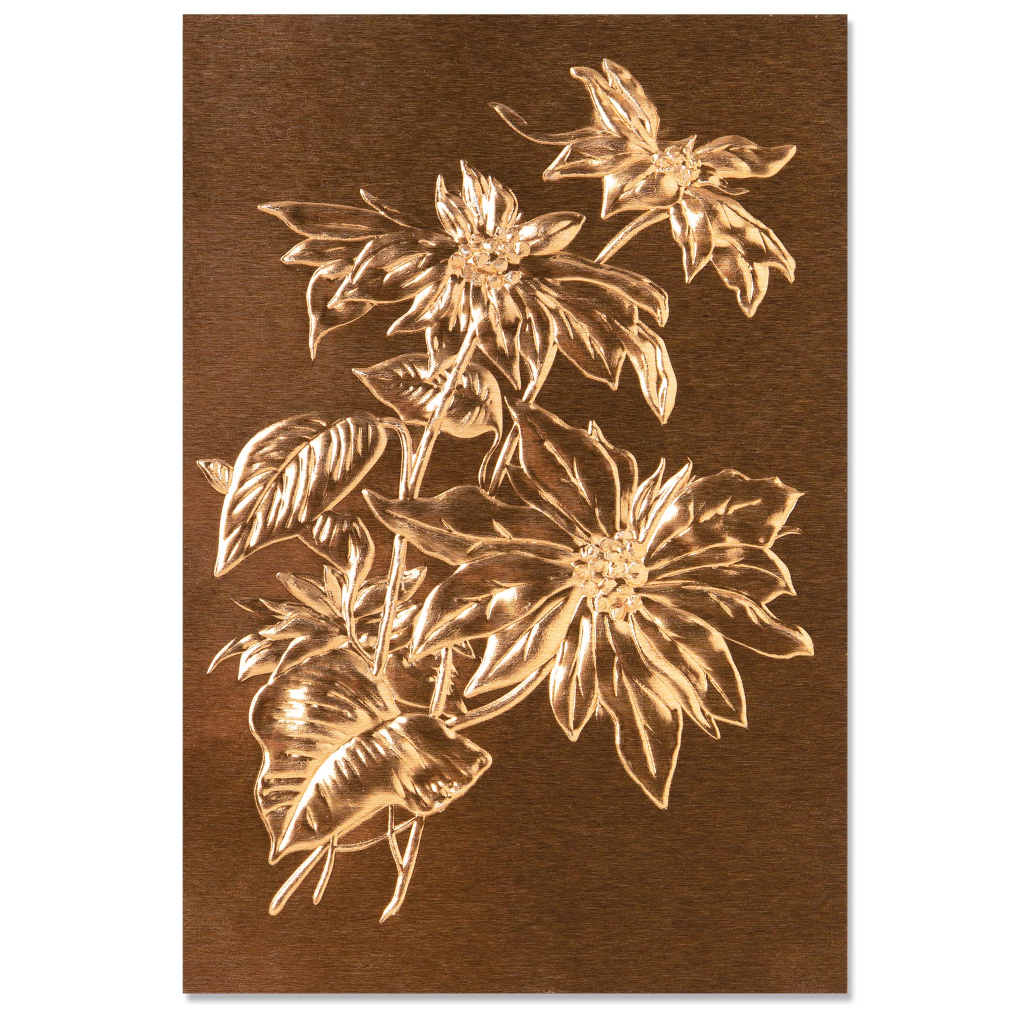 Tim Holtz - Sizzix SIZZIX TEX FADES EMB POINSETTIA