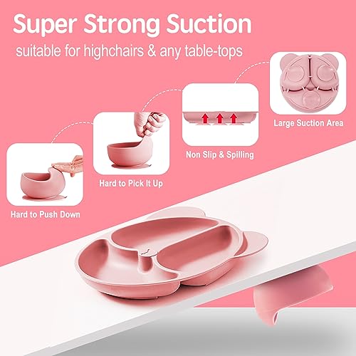 Silicone Baby Feeding Set 10 Pack, Baby Led Weaning Supplies with Suction Bowl Divided Plate, Toddler Self Feeding Dish Set with Bib and Plate, Spoon and Fork, Nipple and Teether, Sippy Cup and Lid