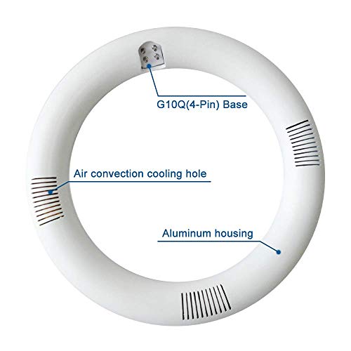T9 LED Circline Light Bulb, 8 Inch 1600LM LED Circular Light, 13W Clear Cover 4000K Soft White Replacement for FC8T9 22-Watt Fluorescent Circular Bulb(FC8T9), Ballast Bypass Required