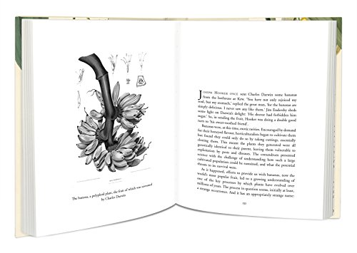 Plants: From Roots to Riches