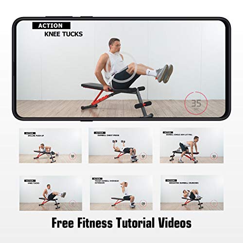 Pelpo Weight Bench for Full Body Exercise, Adjustable Workout Bench Press for Home Gym Strength Training And Weightlifting, Incline/Decline Utility Extension Bench Set For 6 Positions, Black Frame