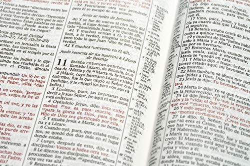 RVR 1960 Biblia de Estudio Scofield, tapa dura (Spanish Edition)