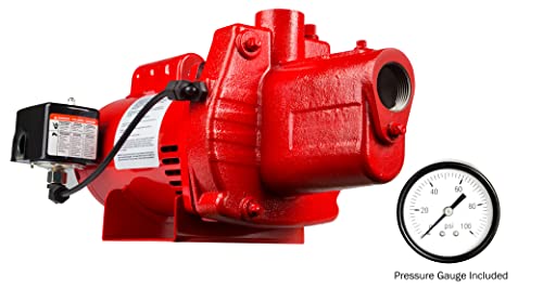 Red Lion RJS-50-PREM 1/2 HP, 12 GPM, 115/230 Volt, Premium Cast Iron Shallow Well Jet Pump, Red, 602206