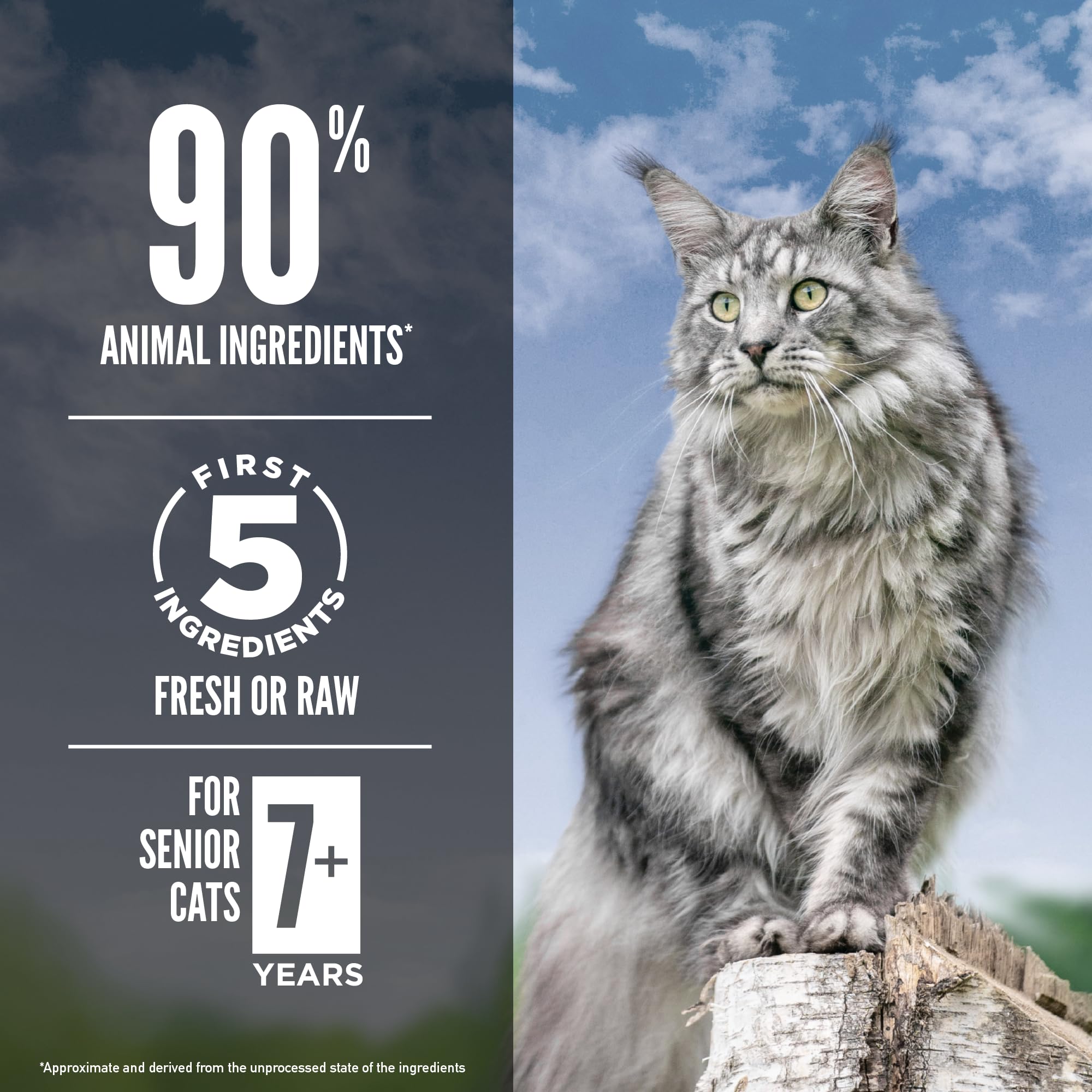 ORIJEN GUARDIAN SENIOR Dry Cat Food, Grain Free Cat Food for Senior Cats, WholePrey Ingredients, 4lb