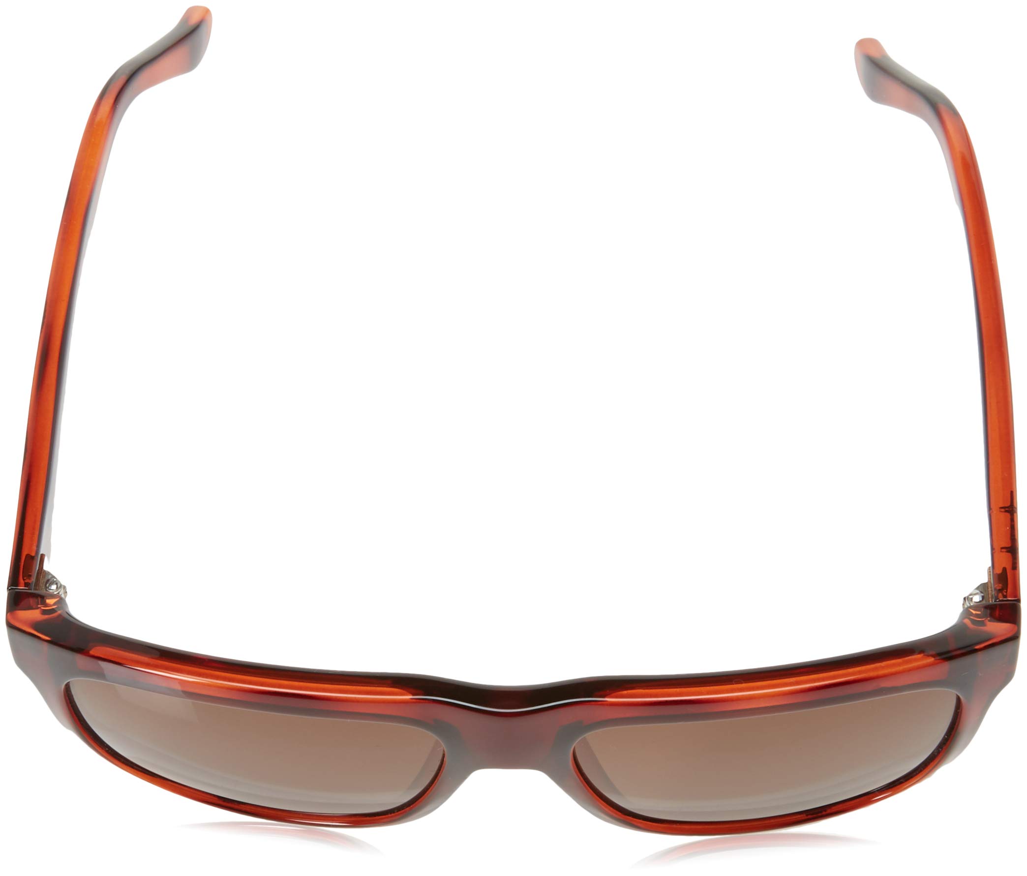 Salvatore Ferragamo Salvatore Ferragamo Women's Sunglasses Sf769s, Brown, 57