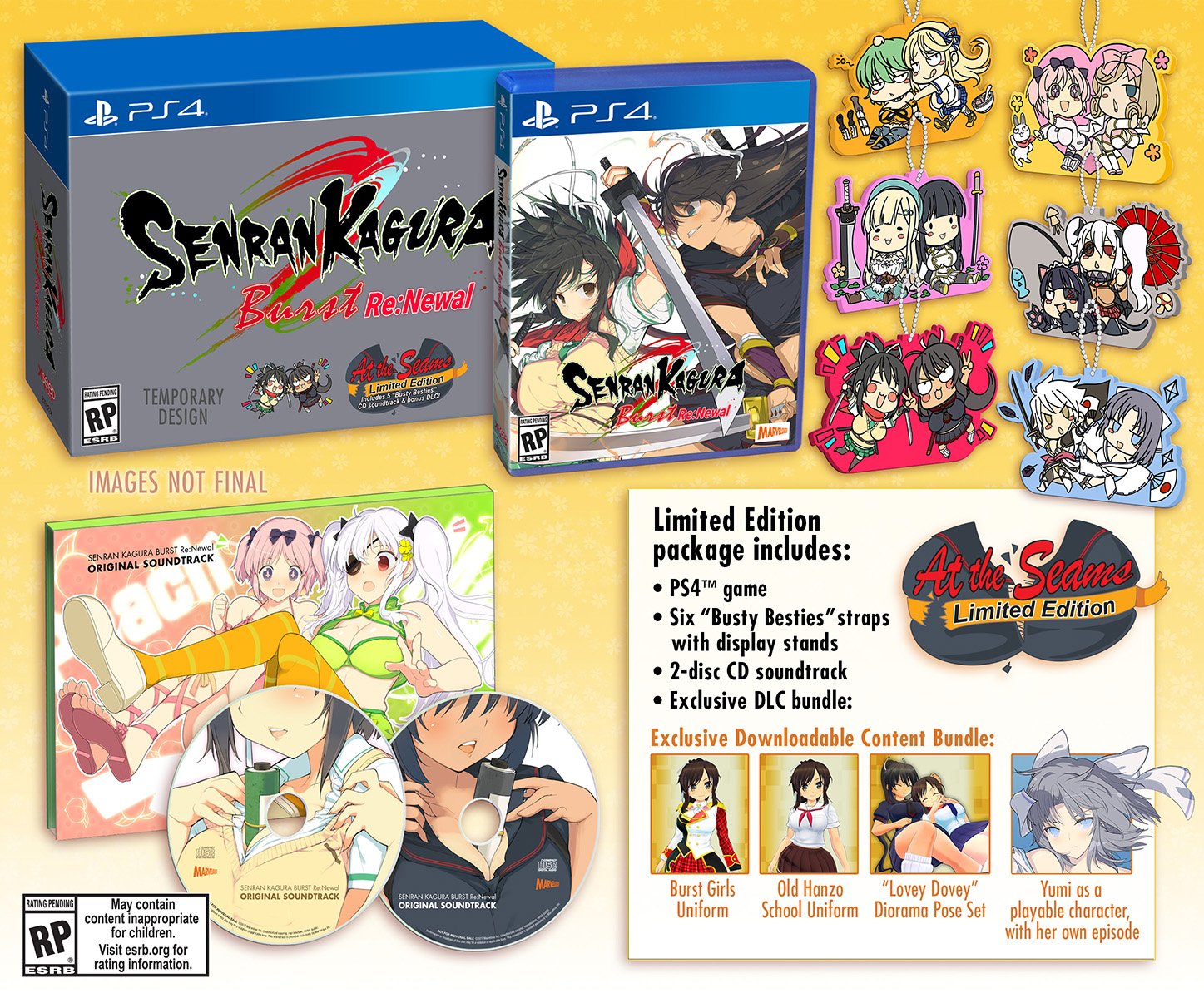 Senran Kagura Burst Re: Newal - at The Seams Edition - PlayStation 4