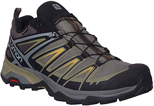 Salomon X Ultra 3 Gore-TEX Hiking Shoes for Men, Castor Gray/Beluga/Green Sulphur, 10.5