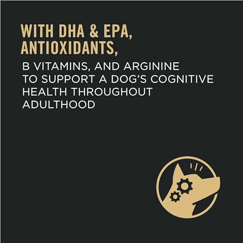 Purina Pro Plan High Protein, Cognitive Health Dry Dog Food, Chicken & Rice Formula - 16 lb. Bag