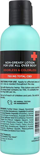 SHIKAI LOTION CBD BODY 6 OZ