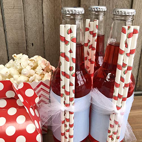 Watermelon Themed Paper Straws - Red Green White - 50 Pack