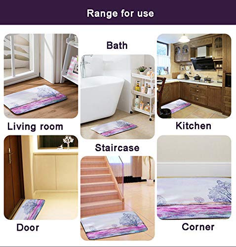 Wine Bottle and Fruit Grape with Wooden Indoor Doormat Durable Welcome Front Door Mats Entryway Bath Rugs Non-Slip Absorbent Area Rugs Resist Dirt Carpet for Room Decor 20 * 32in/50 * 80cm
