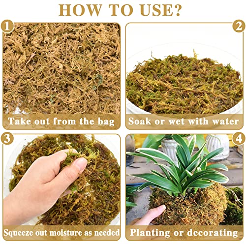 ZeeDix 2QT Dried Moss for Potted Plants Terrarium Decor Plant Natural Sphagnum Moss Potting Mix Soil for Carnivorous Plant, Orchid, Sarracenia, Succulent, Reptiles