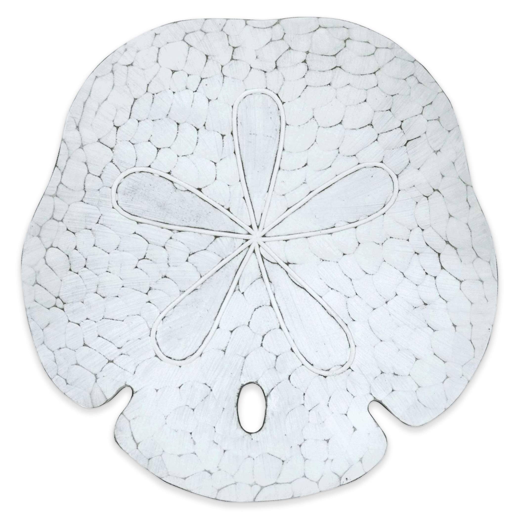 T.I. Design Hand-Carved Coastal White Sand Dollar Shell Beach Wall Decor
