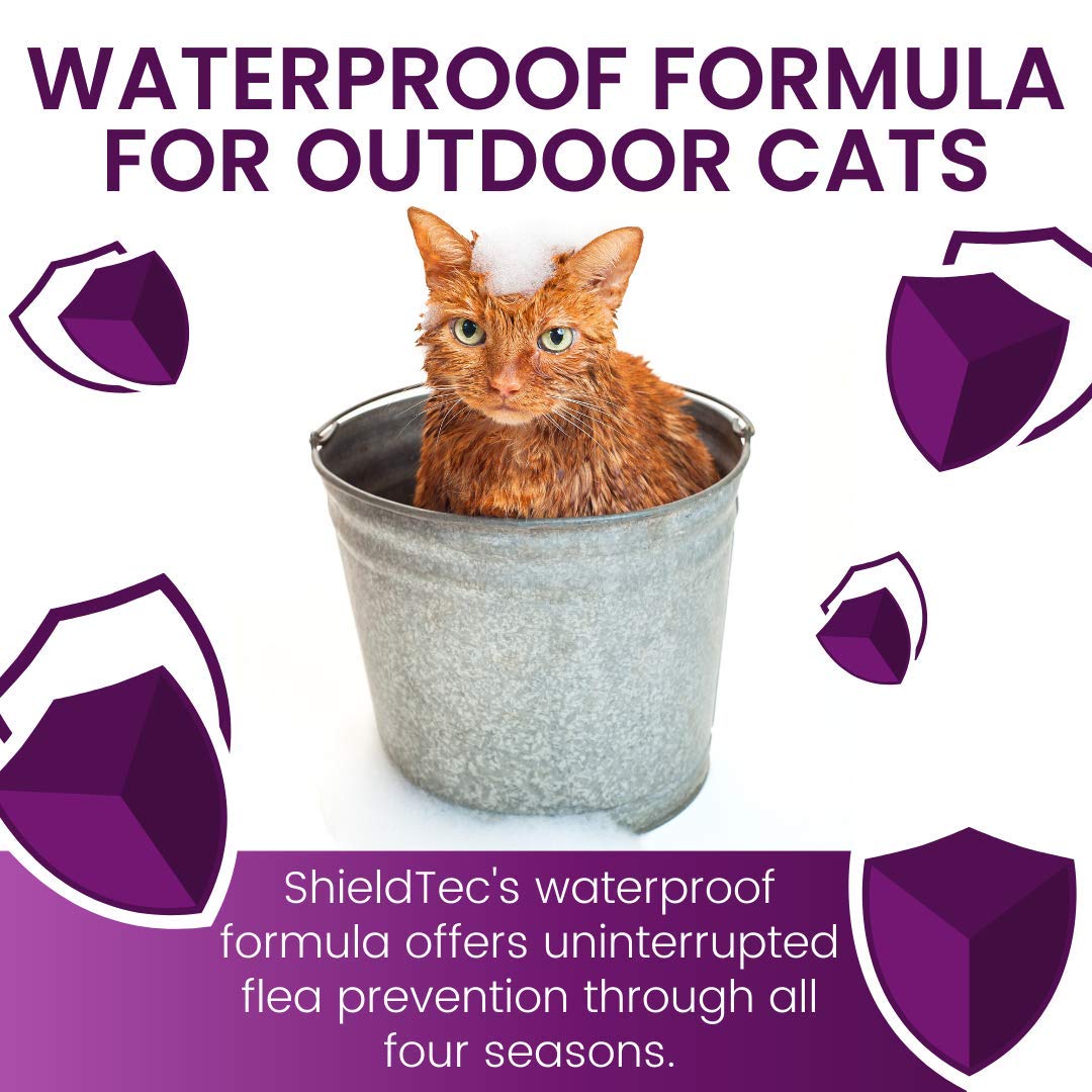 ShieldTec Flea and Tick Prevention for Cats, Kills Chewing Lice, Cat Flea Treatment (3 Dose)