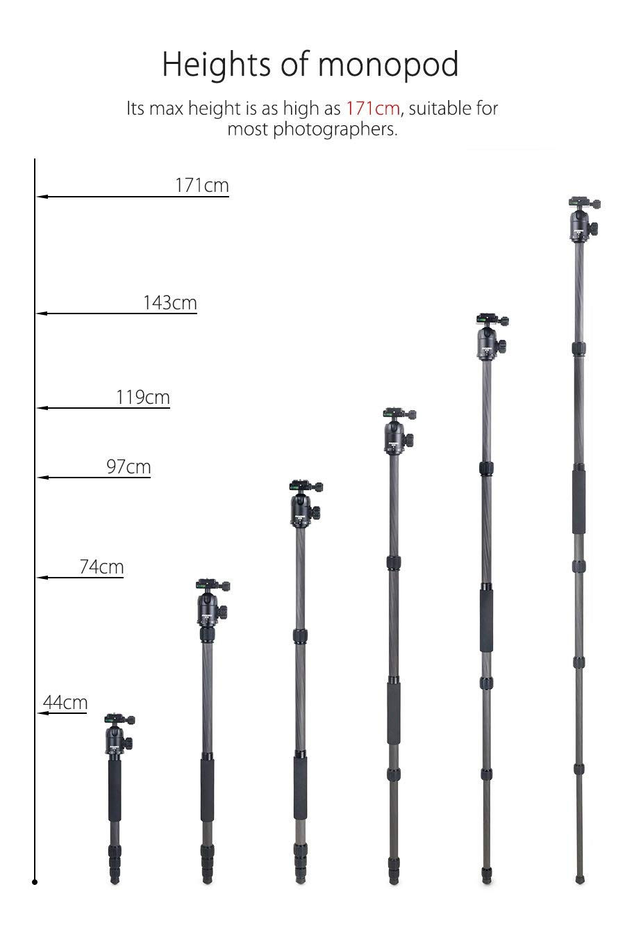 RT40C Professional Carbon Fiber Tripod for Digital Camera tripode Suitable for Travel Series Camera Stand