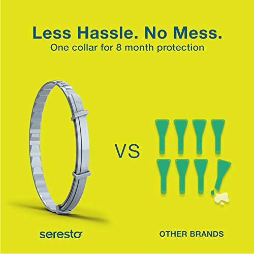 Seresto 8-Month Flea & Tick Prevention Collar for Large Dogs Over 18 lbs Plus FitBark GPS Dog Tracker | Buy Together and Get Free 1-Year GPS Subscription ($255.33 Value)