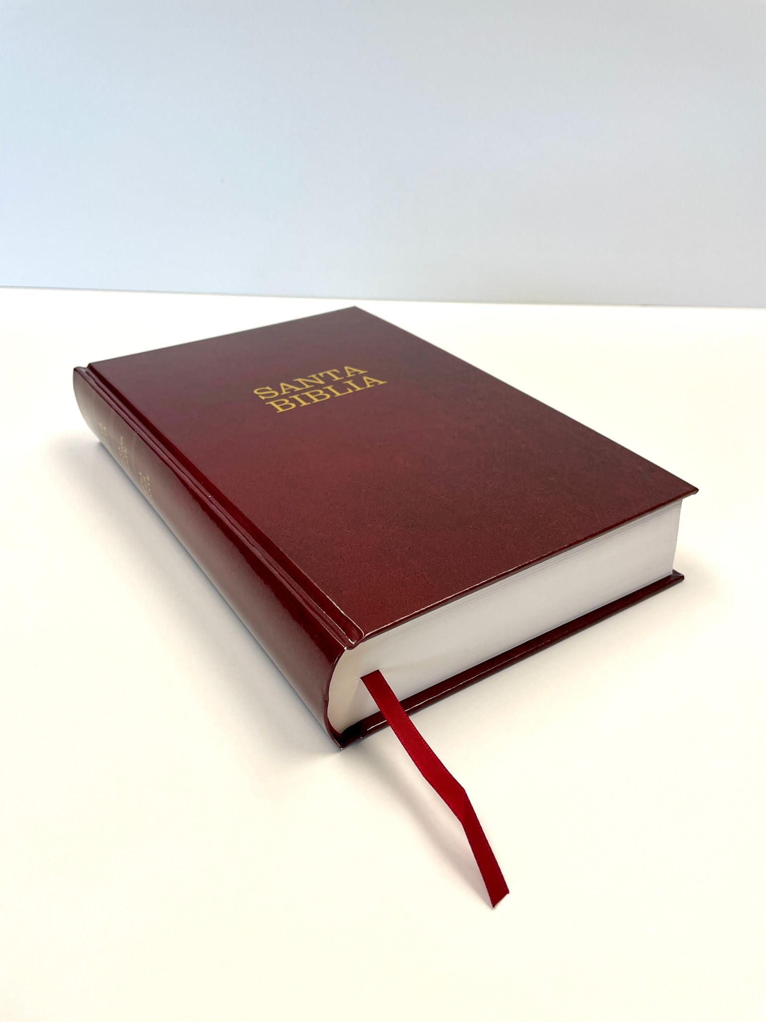 Santa Biblia NTV, letra súper gigante (Tapa dura, Vino tinto, Letra Roja) (Spanish Edition)