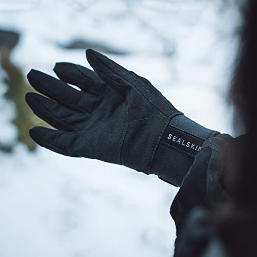 SEALSKINZ Unisex Waterproof All Weather Glove, Black, Large