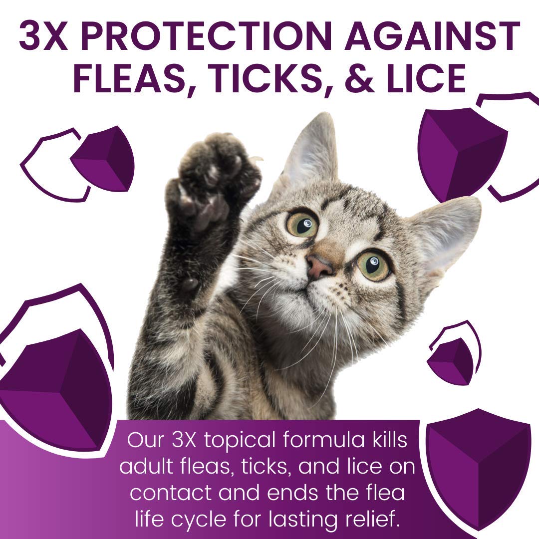 ShieldTec Flea and Tick Prevention for Cats, Kills Chewing Lice, Cat Flea Treatment (3 Dose)