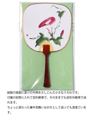 Shikoku Group Fan [Unisex] Cool Breeze Dayori Miyako Bean Fan