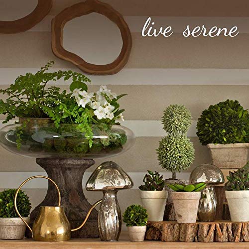 Serene Spaces Living Set of 4 Antique Silver Mercury Glass Balls, Ornaments for Holiday Décor, Measures 4" Diameter