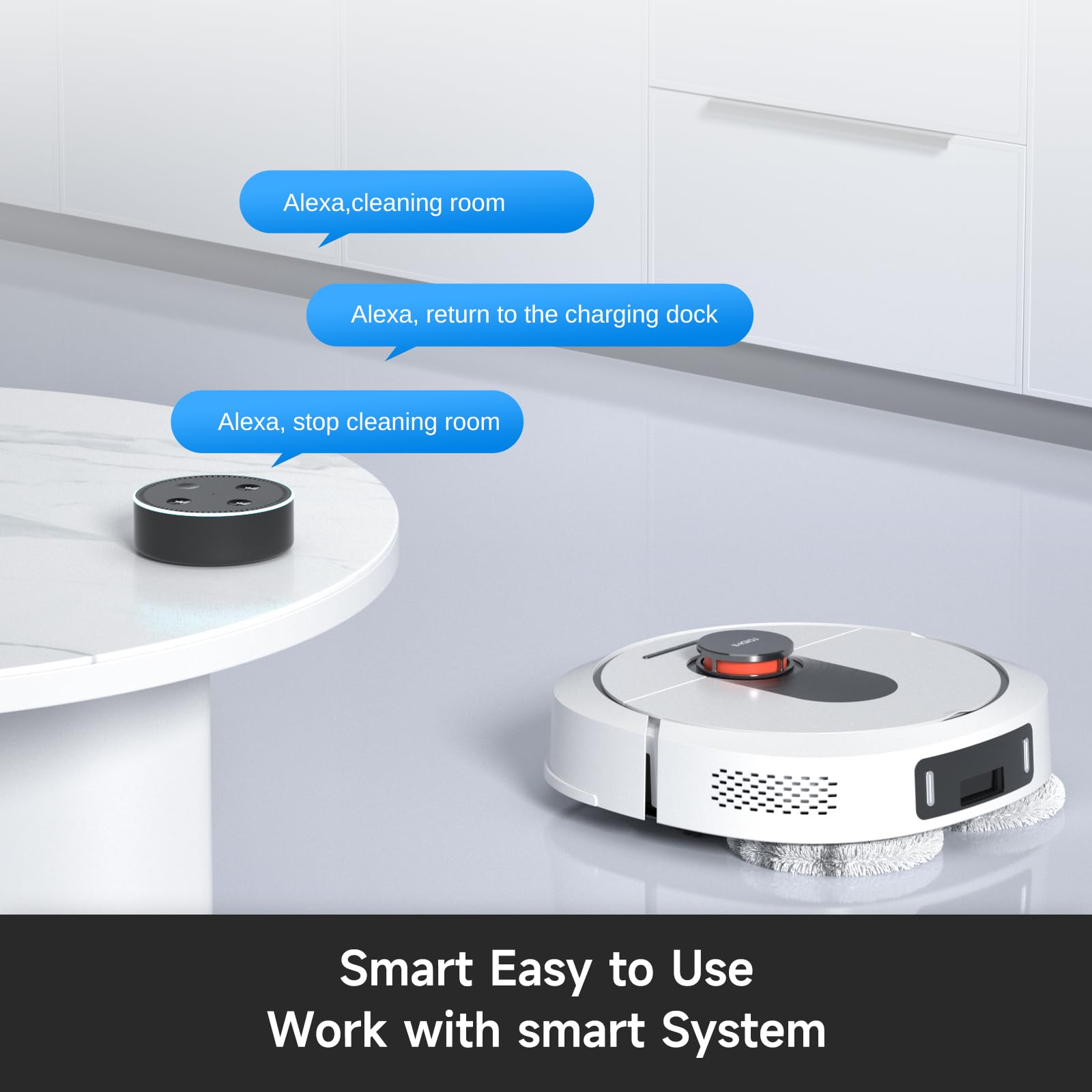 ROIDMI EVA Robot Vacuum and Mop Combo with Self Emptying and Auto-Mopping Station, Smart Robotic Vacuum Cleaner for Pet Hair, Hard Floor, Carpet, Obstacle Avoidance
