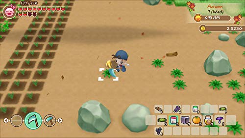 Story of Seasons: Friends of Mineral Town - Nintendo Switch