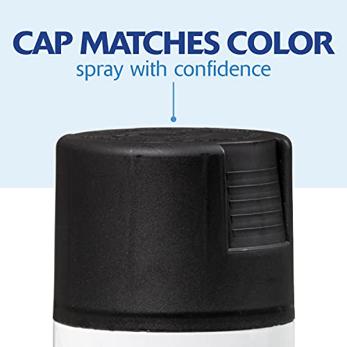 Rust-Oleum 346951-6PK Painter's Touch 2X Ultra Cover Spray Paint, 12 oz, Satin Canyon Black, (Pack of 6)