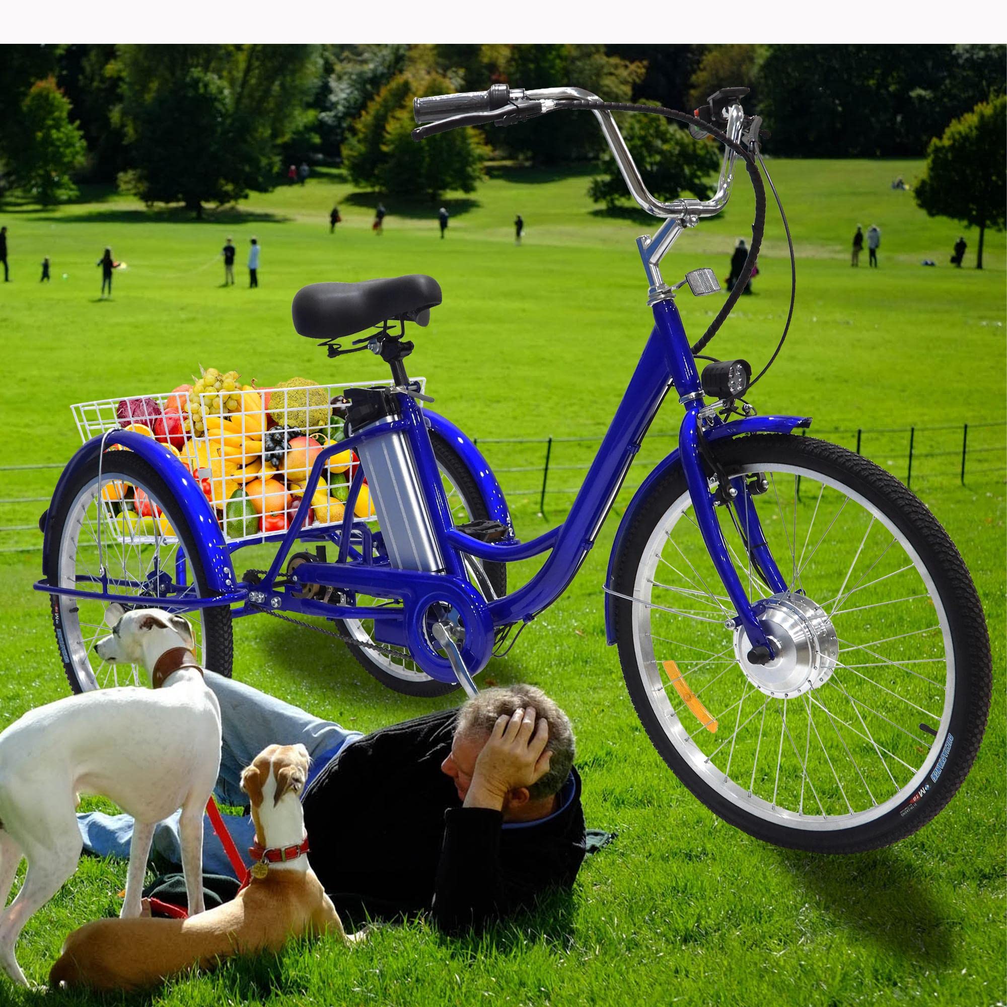 XIMFR 3 Wheel Electric Bicycle 24 Inches Tricycle Bikes Trikes for Adults with Fixed Basket to Use for Shopping Trips(Motor:350W Removable Lithium Battery:48V 13Ah)
