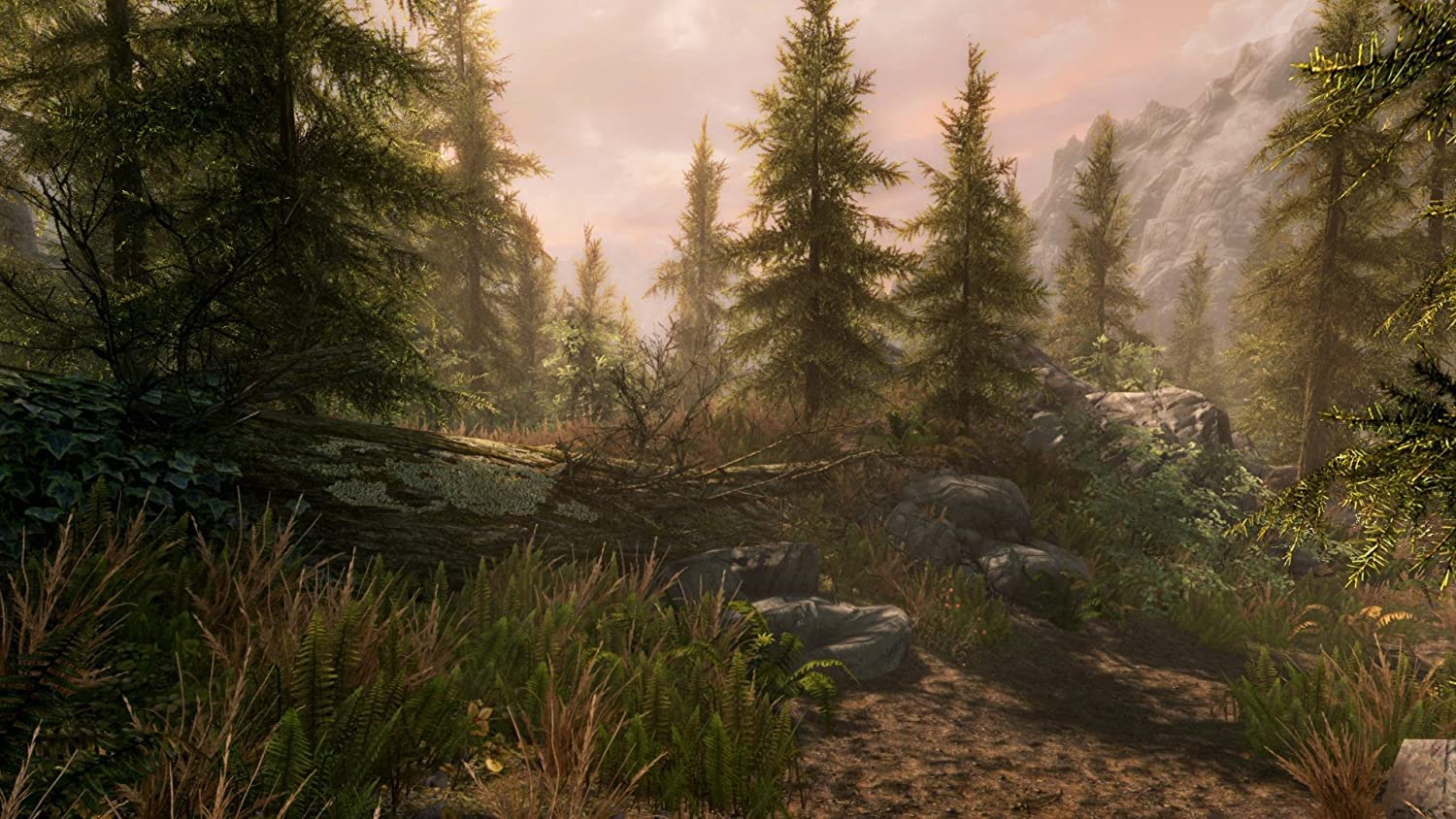 The Elder Scrolls: Anthology [Windows]