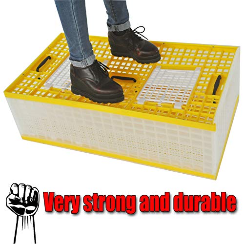 RP PIGEON Plastic Pigeon Cage, Portable Foldable, 24x12x9in, Green