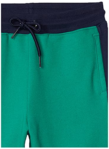 Spotted Zebra Boys' Colorblock French Terry Short, Green, Small