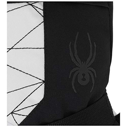 Spyder Active Sports Men's Overweb Gore-TEX Ski Glove, White, Medium