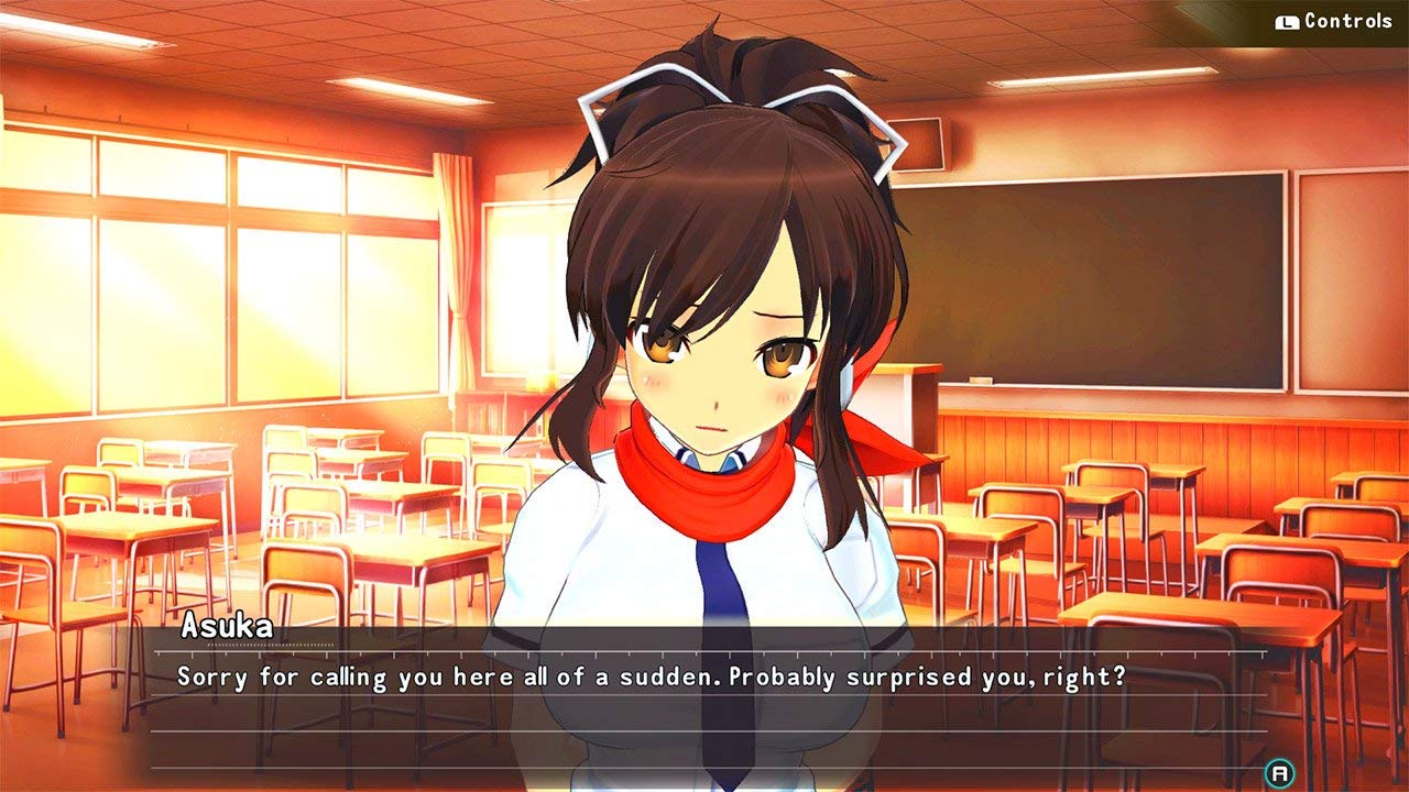 Senran Kagura Reflexions - Nintendo Switch