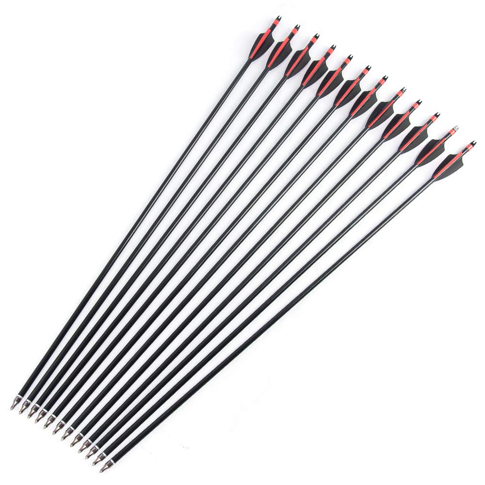 TOPOINT ARCHERY 30inch 8mm Fiberglass Hunting Practice Arrows with Replaceable Arrowhead Spine 500 for Recure and Compound Bow Target (Pack of 12) (2 Black 1 red vanes)