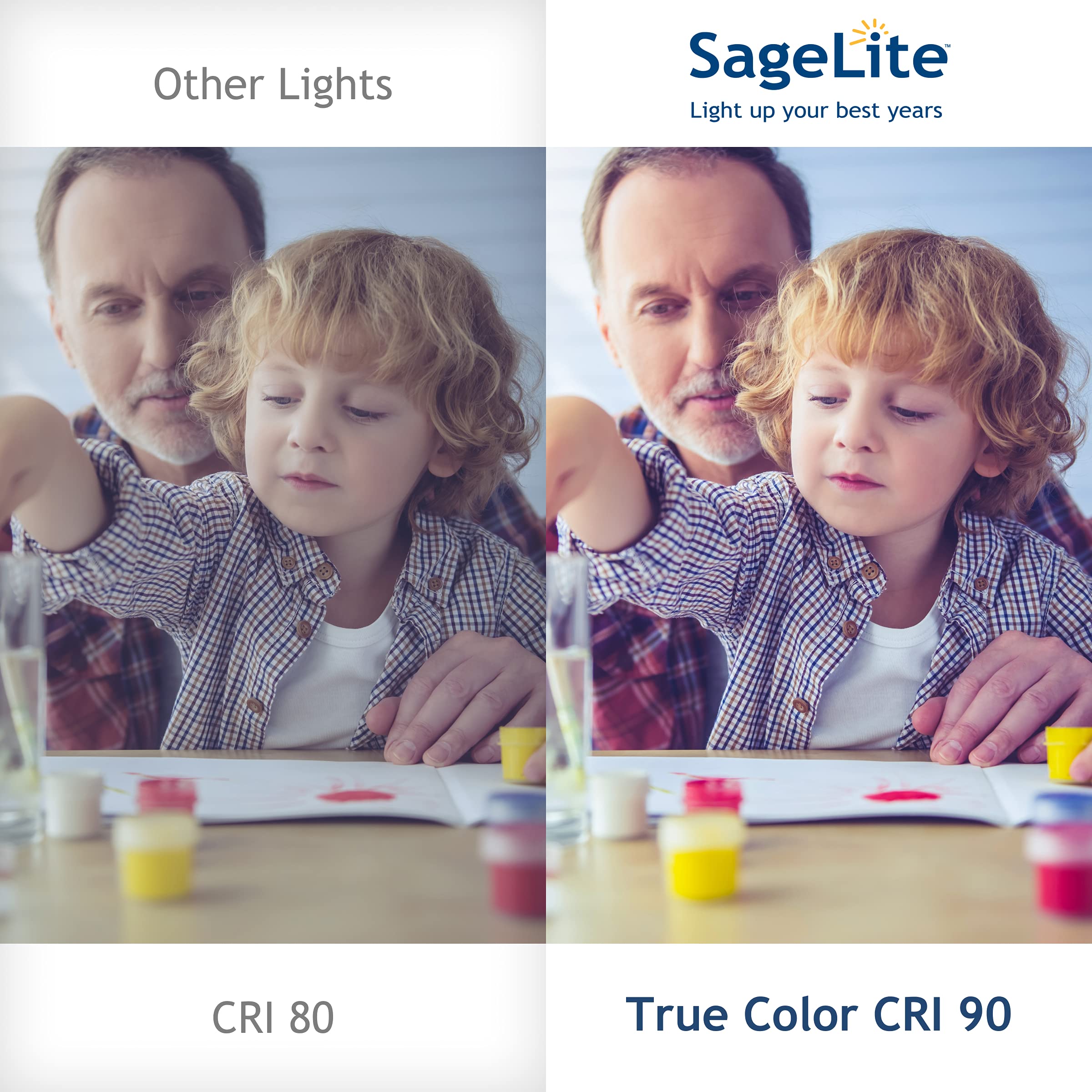 SAGELITE Delay Off LED Light Bulb, 11W LED Light with 25 Seconds of Dimmed Light After Switch Off, 75W Equivalent Daylight (5000K) A21 Bulb E26 Base 1055LM, 4 Pack (0187695001)