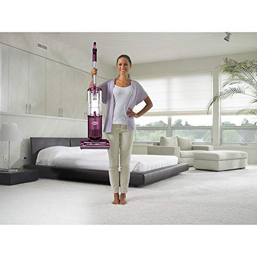 SHARK Navigator NV106 Vacuum , Mauve (Renewed)