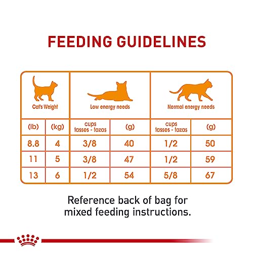 Royal Canin Hair & Skin Care Dry Cat Food, 6 lb bag
